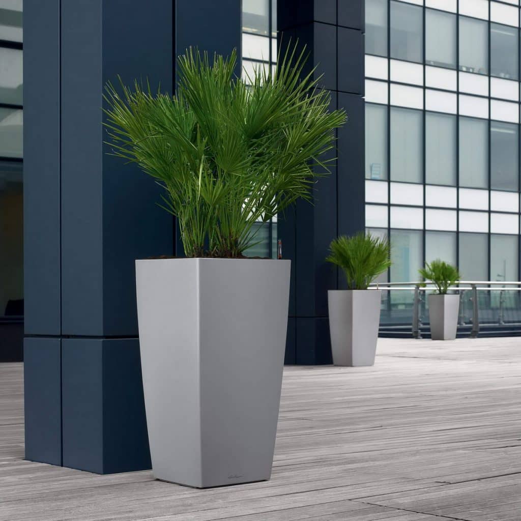 Buy LECHUZA CUBICO square tall poly resin self-watering planter in the UK